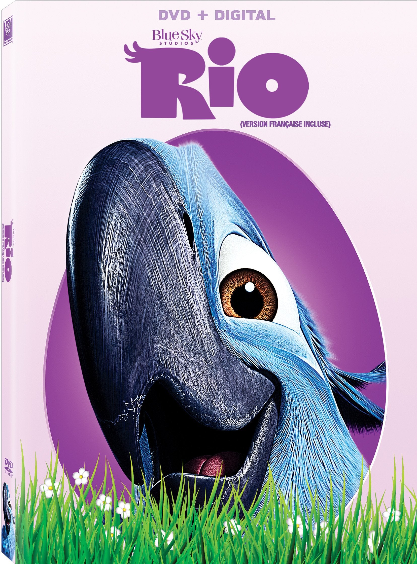 Rio (Bilingual) [DVD + Digital Copy] – ID Shop.ca